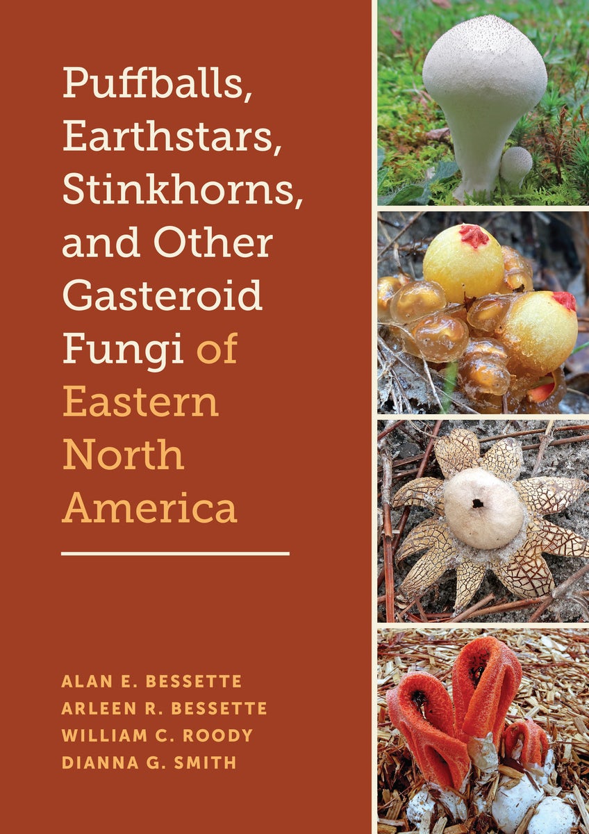 Puffballs, Earthstars, Stinkhorns, and Other Gasteroid Fungi of Eastern ...